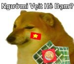 78+ Hình ảnh meme cheems hài hước, thú vị trên mạng xã hội