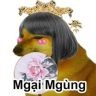 78+ Hình ảnh meme cheems hài hước, thú vị trên mạng xã hội