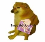 78+ Hình ảnh meme cheems hài hước, thú vị trên mạng xã hội