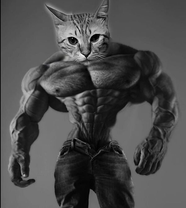 Kh m Ph 99 H nh nh Gigachad Meme Si u c o H i H c Kh m Ph 99 H nh nh Gigachad Meme Si u c o H i H c