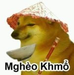 78+ Hình ảnh meme cheems hài hước, thú vị trên mạng xã hội
